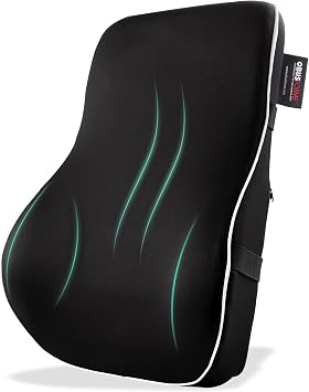 ObusForme Lumbar Support Memory Foam Back Rest with Dual Adjustable ...