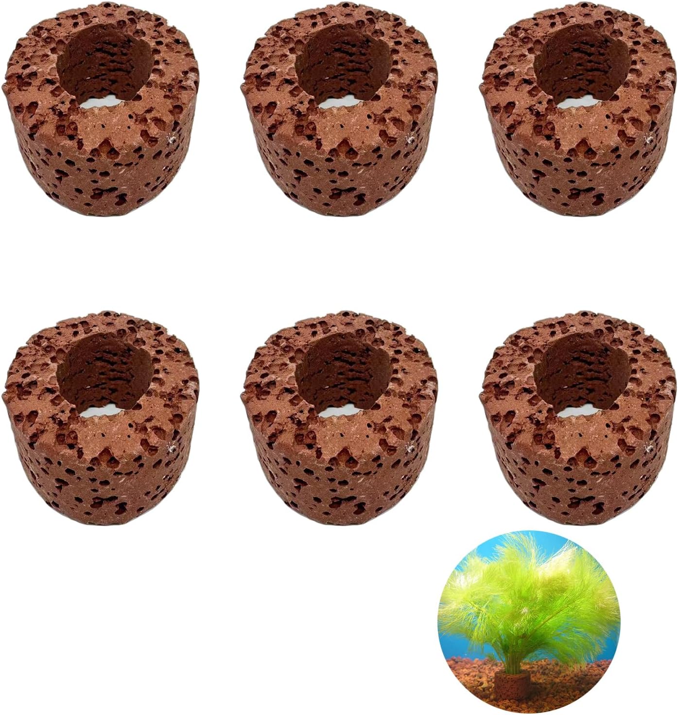 Amazon.com : Wzttdm 6 Pcs Aquatic Water Plant Fixed Rings, Aquarium ...