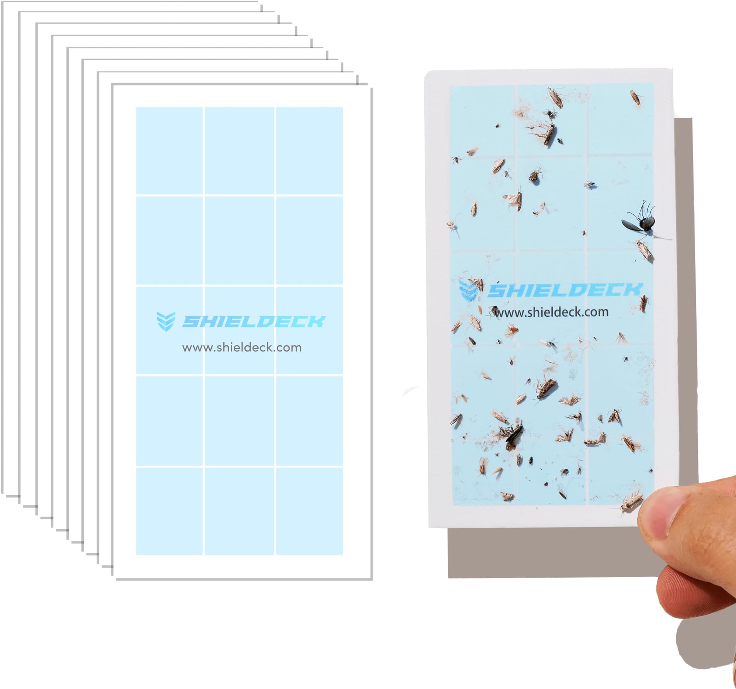 Amazon.com : Faicuk Plug in Fly Light Trap with UV Bulb for Capturing ...