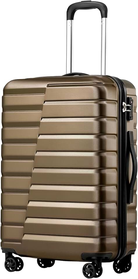 Amazon.com: Luggage