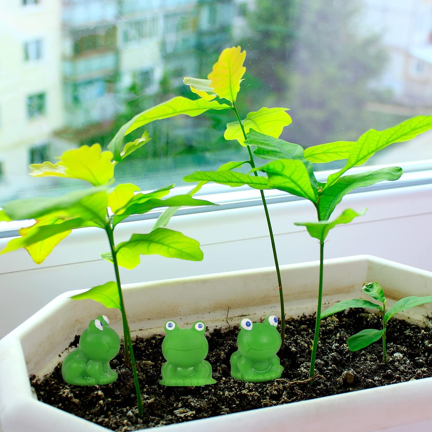 BENBO Mini rana de resina, 40 figuras en miniatura de ranas verdes ...