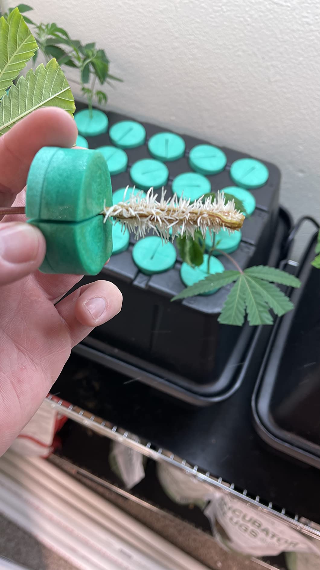 $29/mo - Finance EZ Clone EZCL32LP Z Clone Classic 32 Cutting System ...