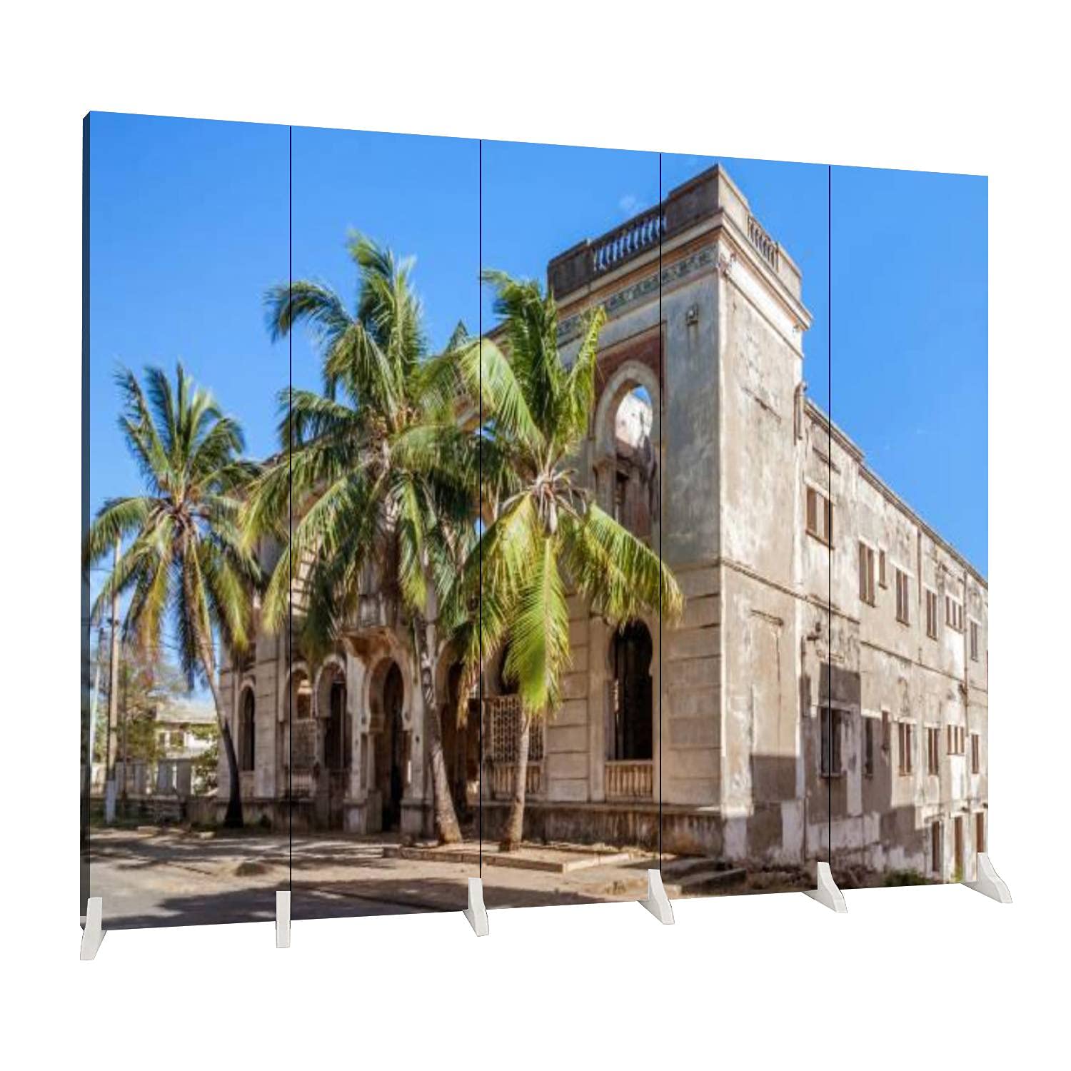 Buy 5 Panel Screen Room Divider Vestige of Colonial Architecture ...