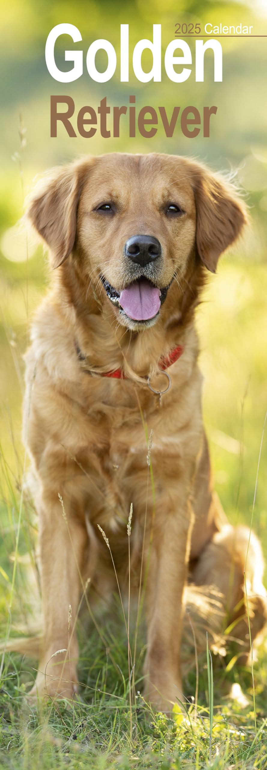 Golden Retriever Slim 2025 Slimline Wall Calendar | Dog Breed Calendar ...