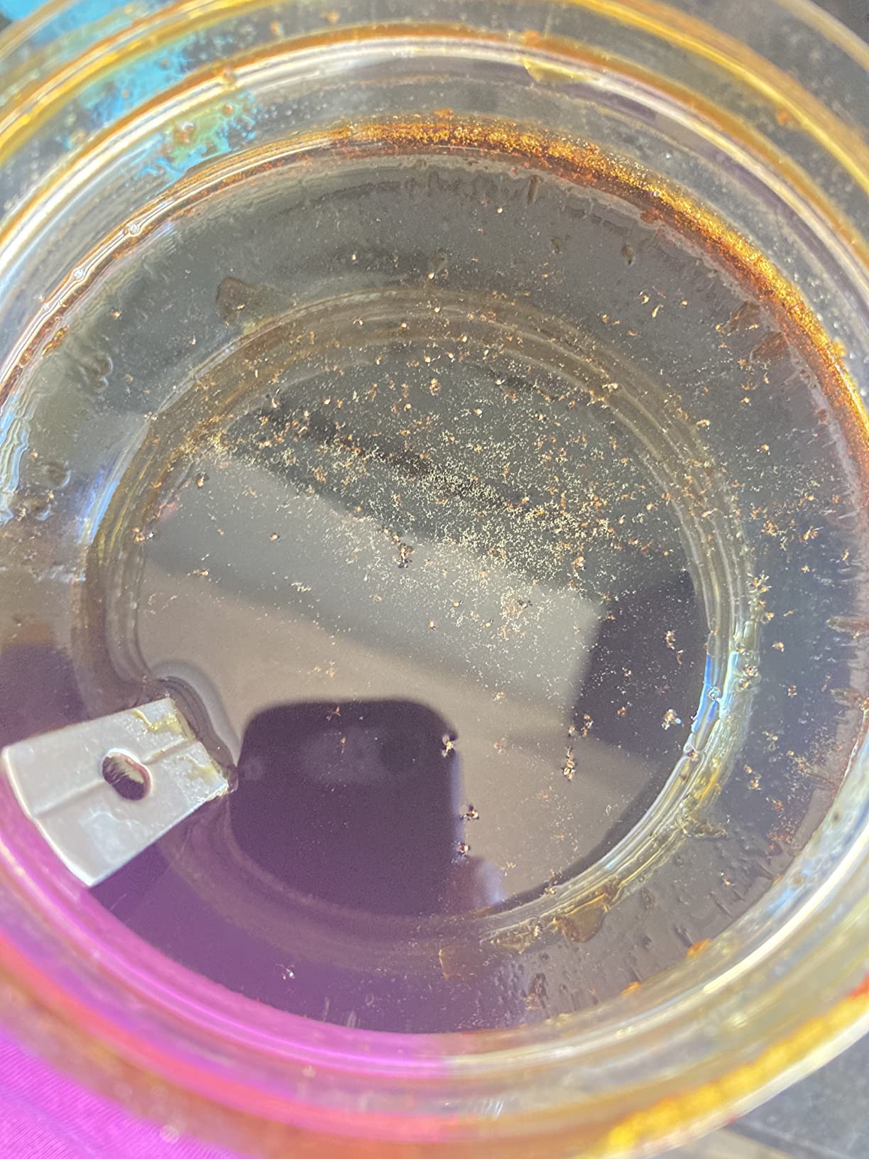 Sampige Liquid Jaggery Certified Organic Joni Bella Liquid Jaggery ...