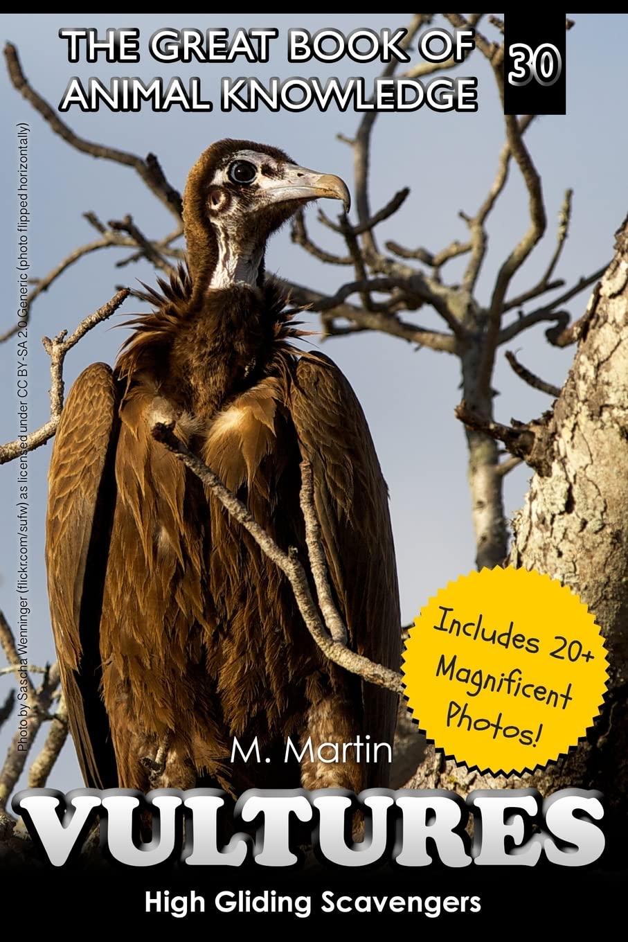Vultures: High Gliding Scavengers (The Great Book of Animal Knowledge ...