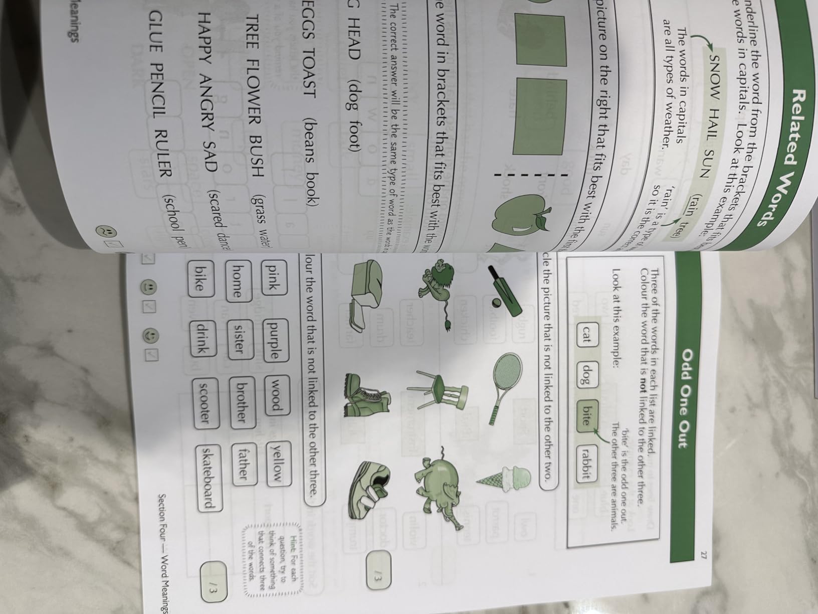 11+ Verbal Reasoning Practice Book & Assessment Tests - Ages 5-6 (for ...
