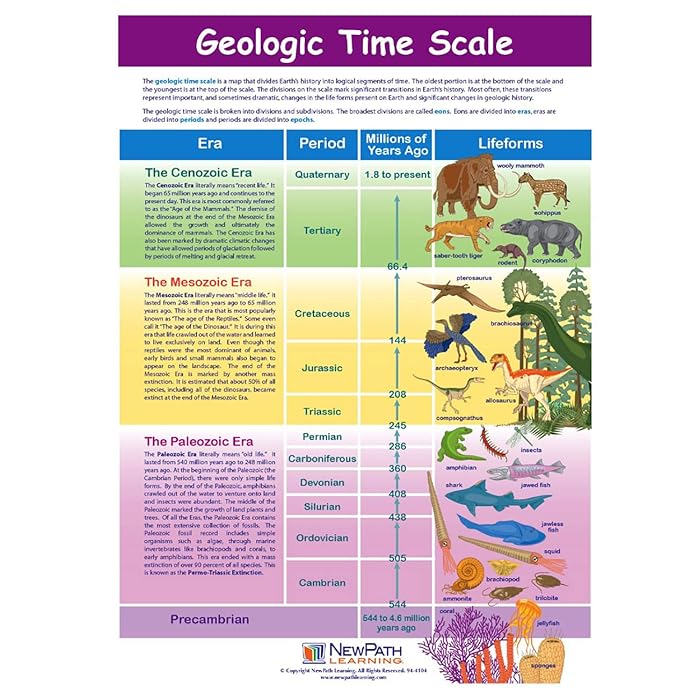 Buy NewPath Learning-947122 Geologic Time Scale Visual Learning Guides ...