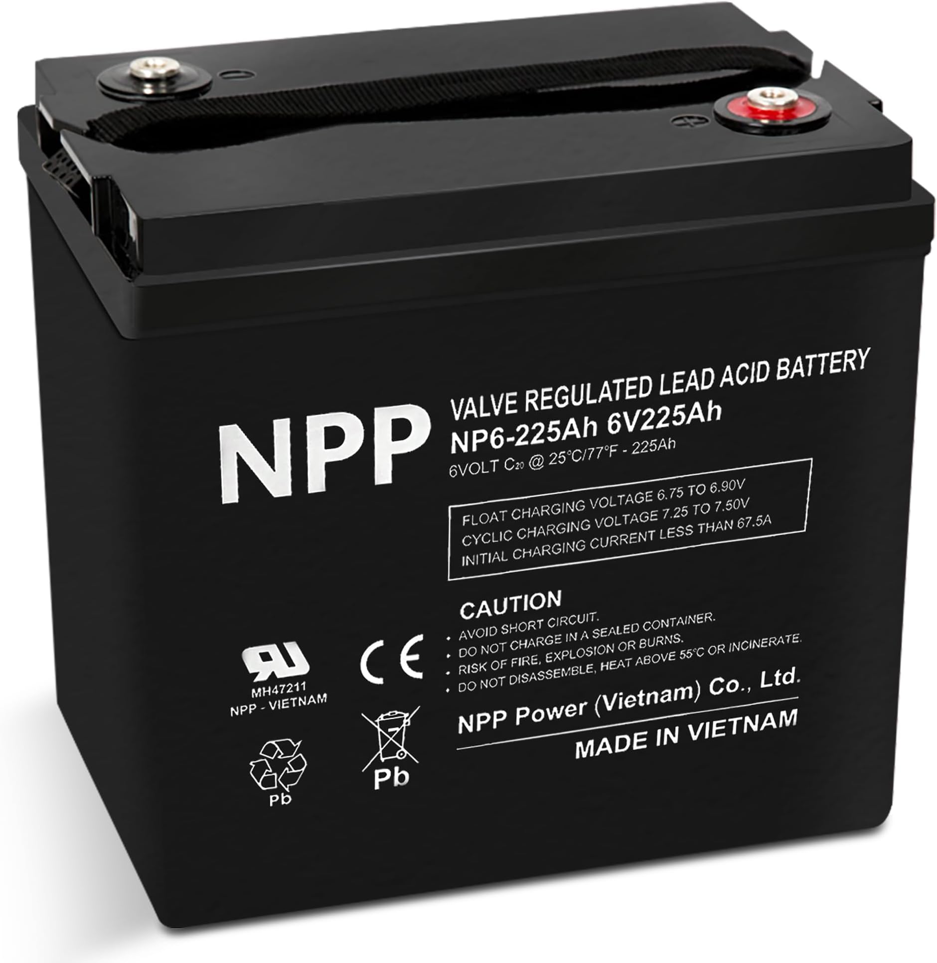 Amazon.com: Crown CR-220 Group GC2 6V 220 AH Battery X4 : Health ...