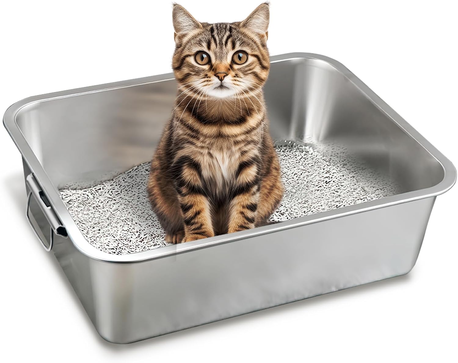 Amazon.com: Woyamay Stainless Steel Cat Litter Box, Large Metal Litter ...