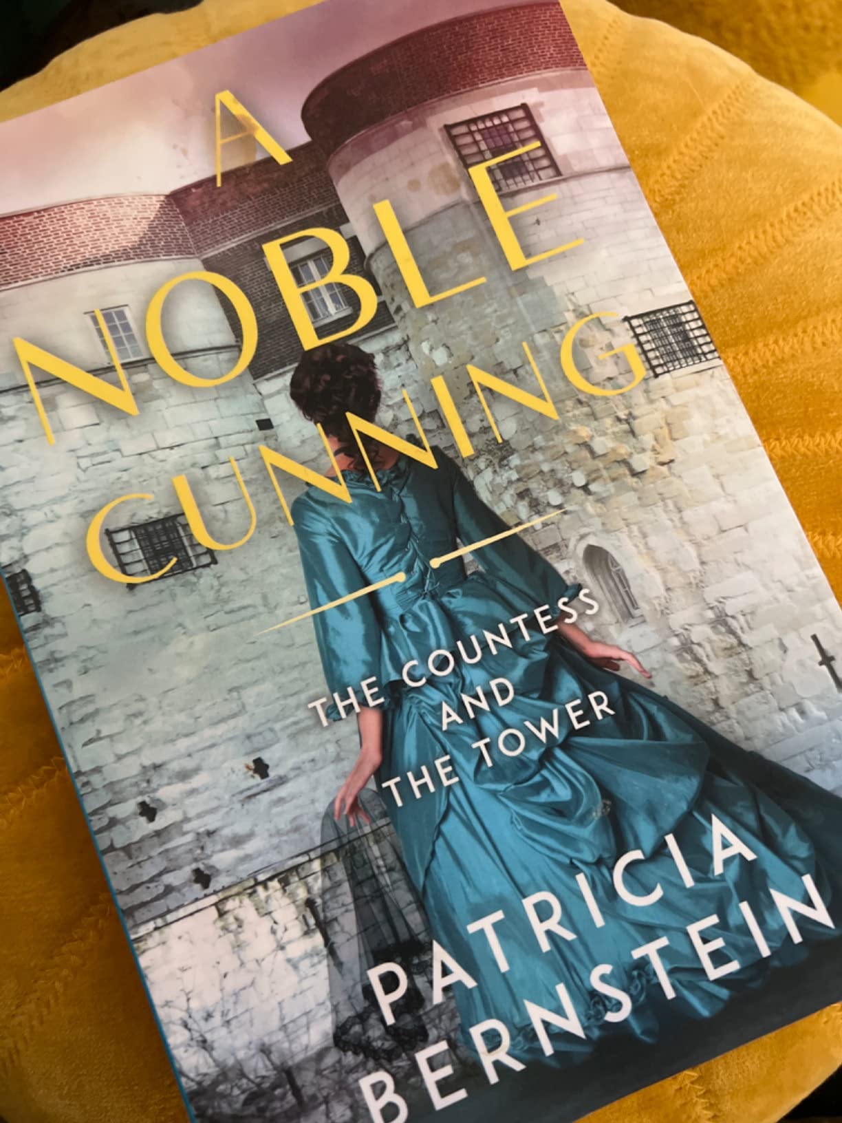 A Noble Cunning: The Countess and the Tower: Bernstein, Patricia ...