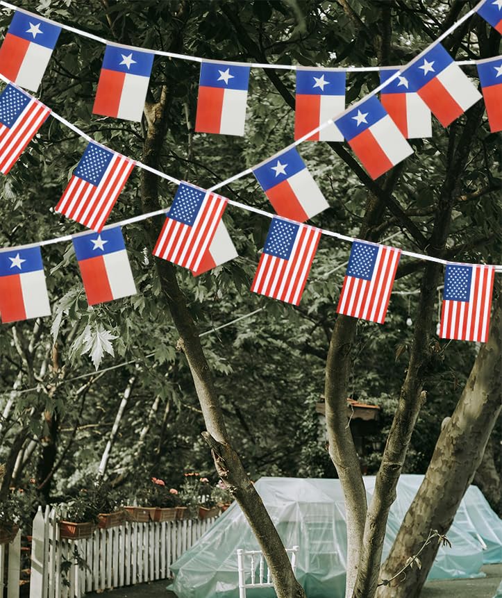 Snapklik.com : ZXvZYT USA US And Texas Flag Banner String,Small Mini ...