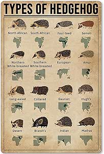 Amazon.com: Types Of Hedgehog Metal Tin Signs Hedgehog Knowledge Retro ...