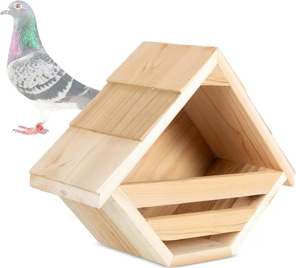 Where Do Mourning Doves Nest? A Look Into Their Preferred Nesting ...