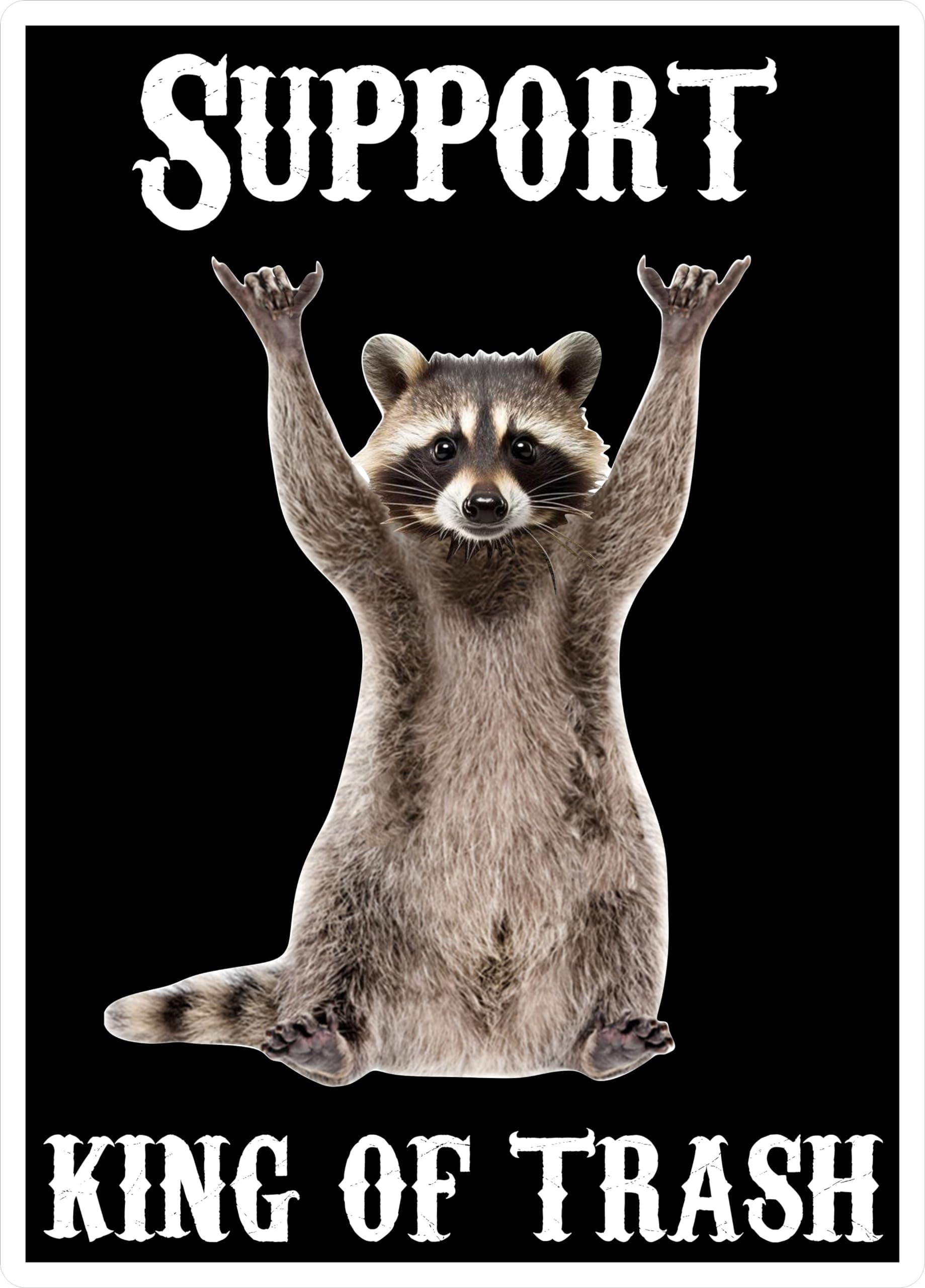 Amazon.com - STICKY DUDE Rocking Racoon Raccoon Sticker, Funny Raccoon ...