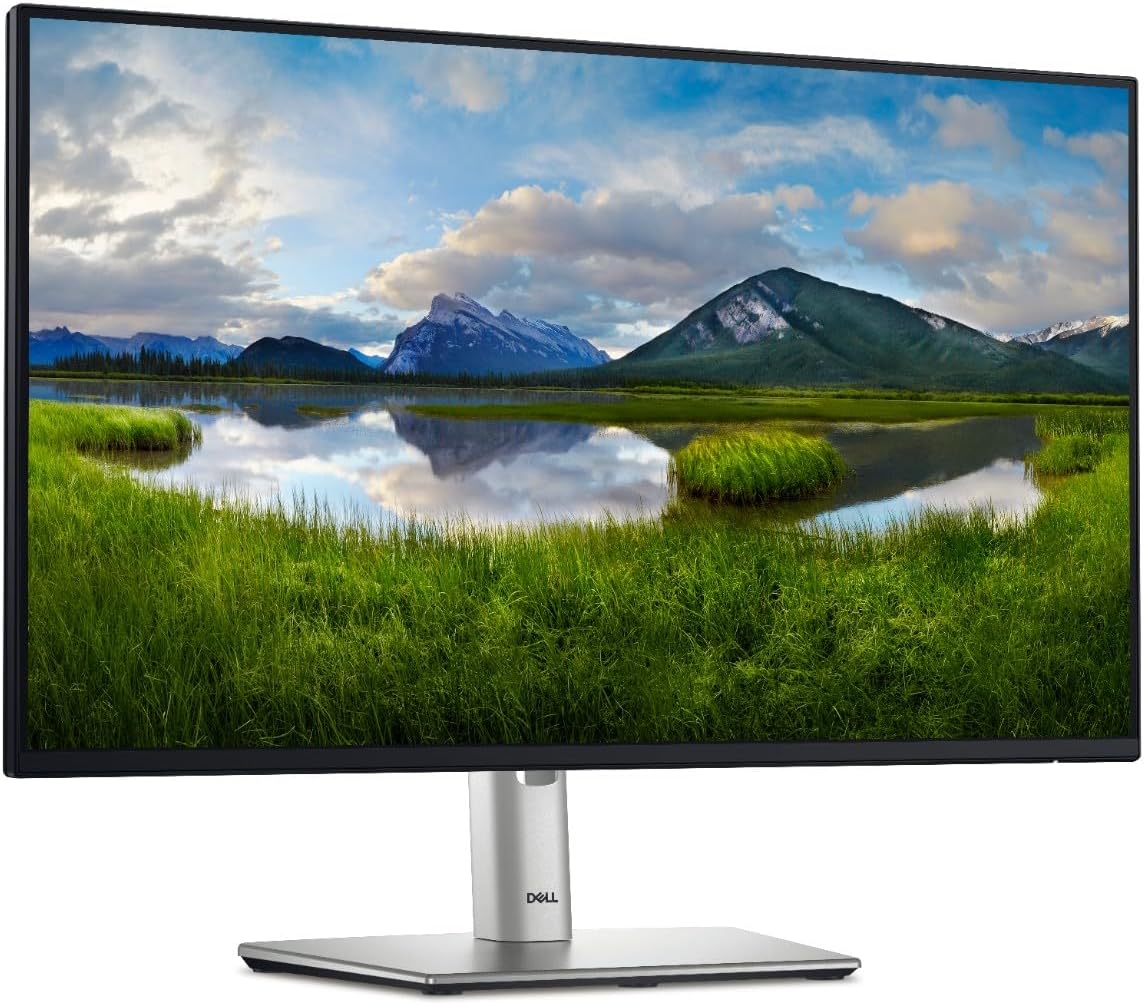 Dell P2425H 24 Zoll Full HD Monitor, 100Hz, IPS, 5ms, 99% sRGB, USB-C ...