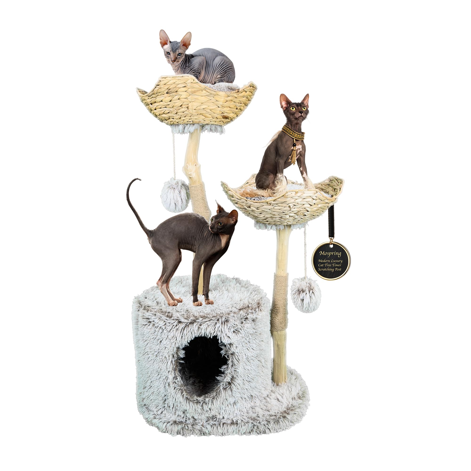 Amazon.com : Mospring Cat-Tree Tower | Modern Cat Furniture | Real Wood ...