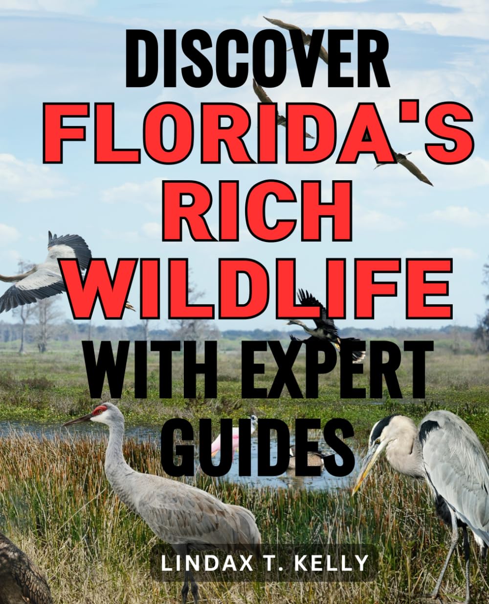 Amazon.com: Discover Florida's Rich Wildlife with Expert Guides ...