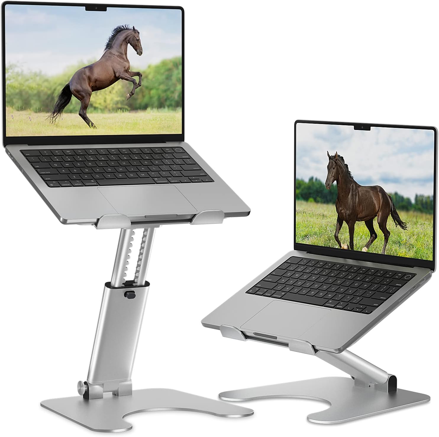 Amazon.com: ROTTARY Collapsible Laptop Stand, Adjustable Height up to ...