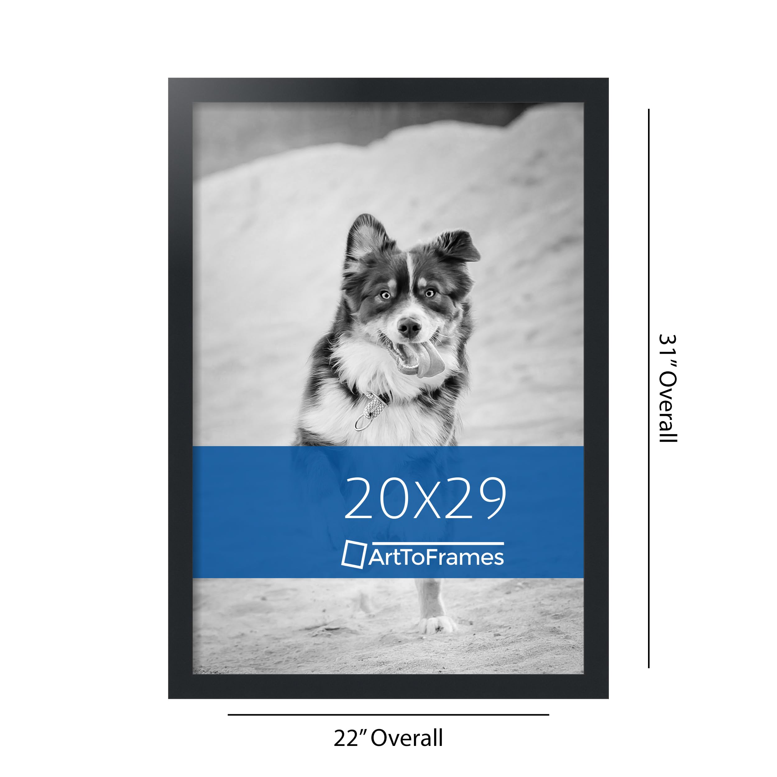 20 X 29 Poster Frame