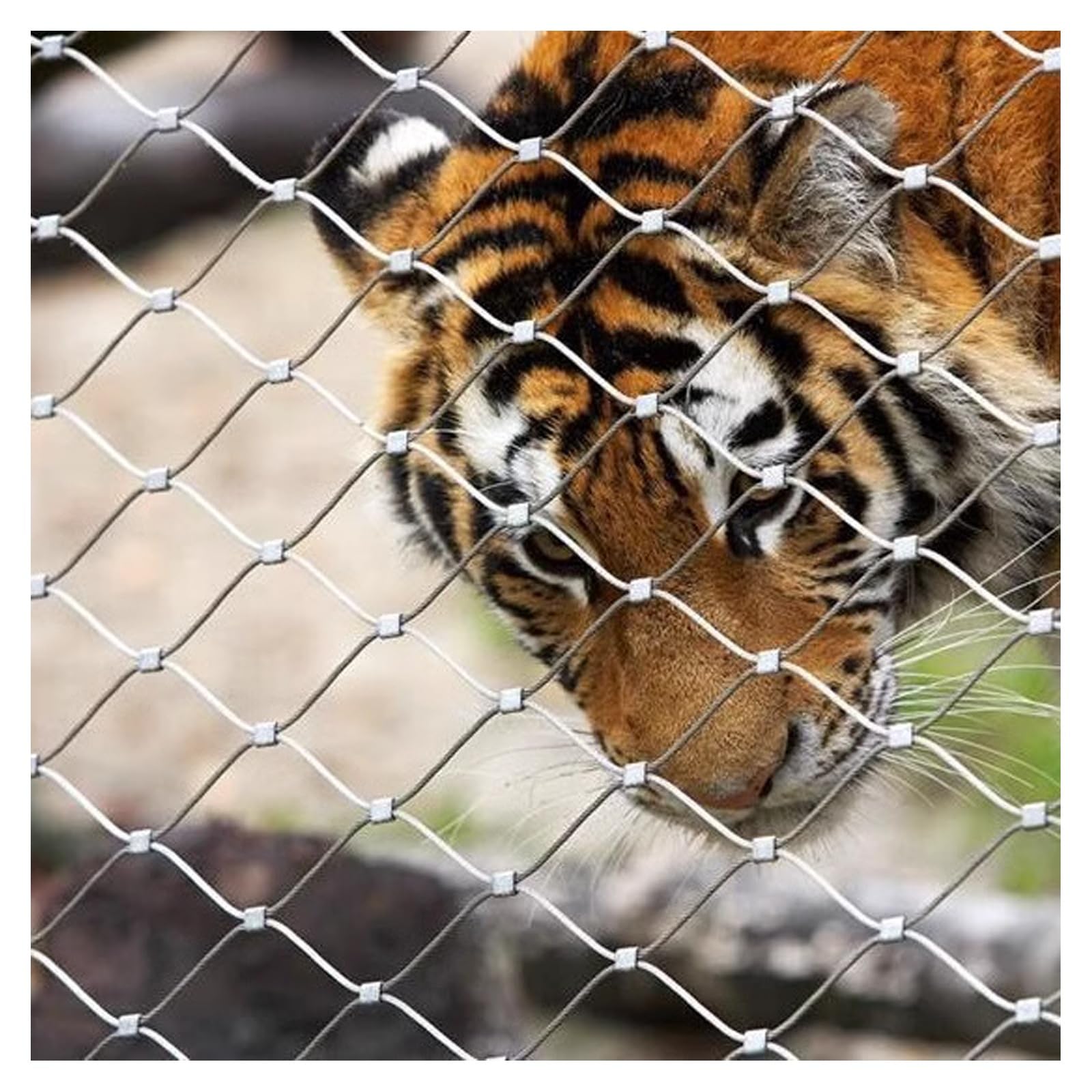 Flexible Cable Wire Rope X Type Mesh Stainless Steel Woven | Desertcart ...