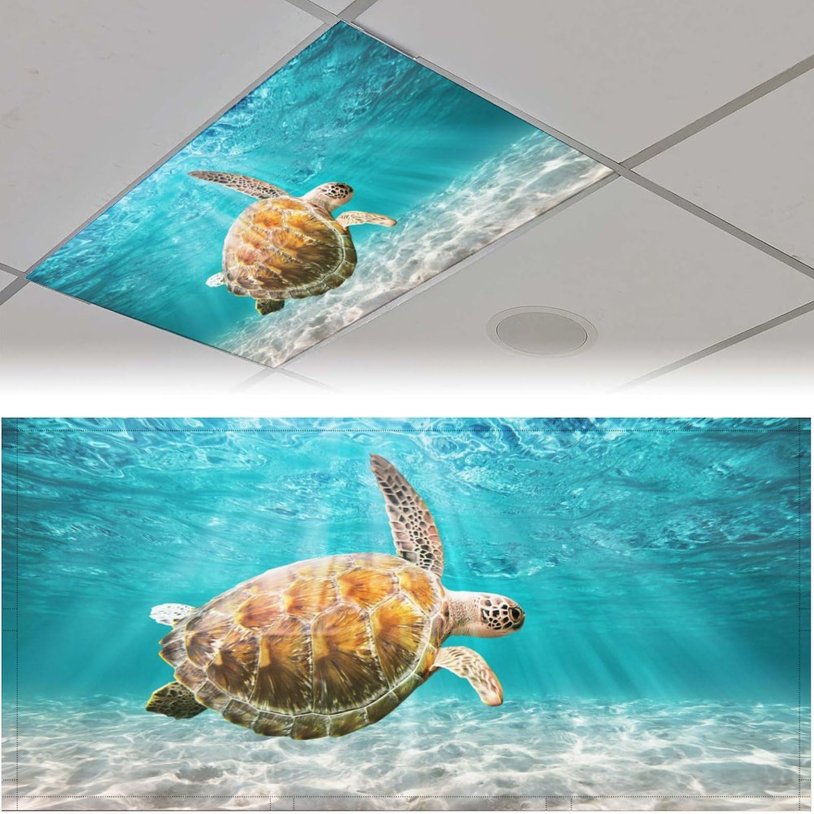Amazon.com : 2 Pack Fluorescent Light Cover for Ceiling Light -Swimming ...