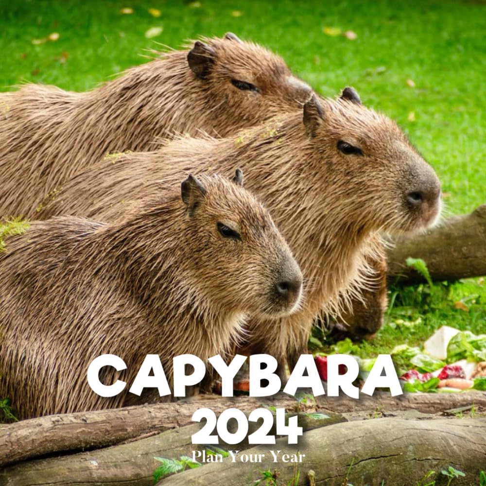 Plan Your Year Capybara 2024: Planning is the key to success, Organize ...