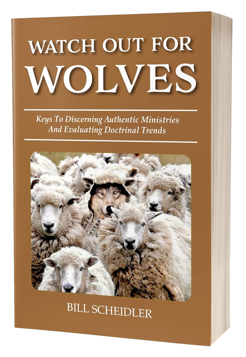 Watch Out For WOLVES: Keys To Discerning Authentic Ministries And ...