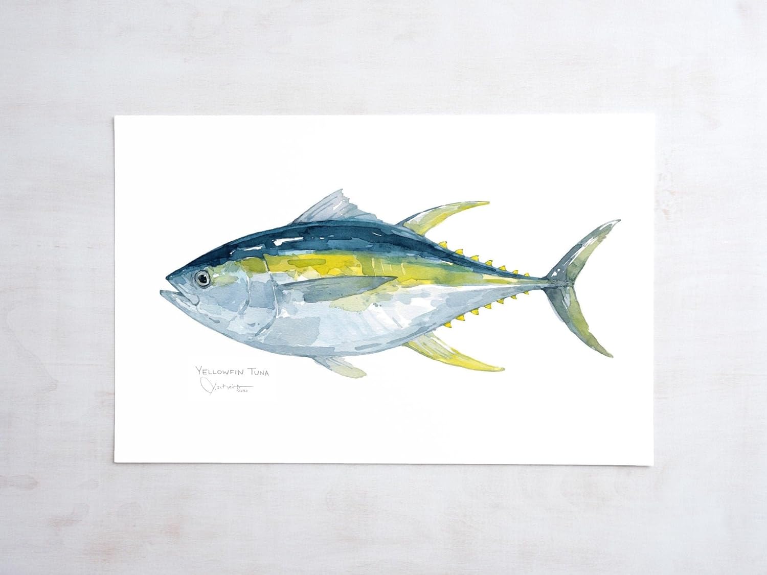 Amazon.com: Yellowfin Tuna Watercolor Print, Fish Painting, Yellowfin ...
