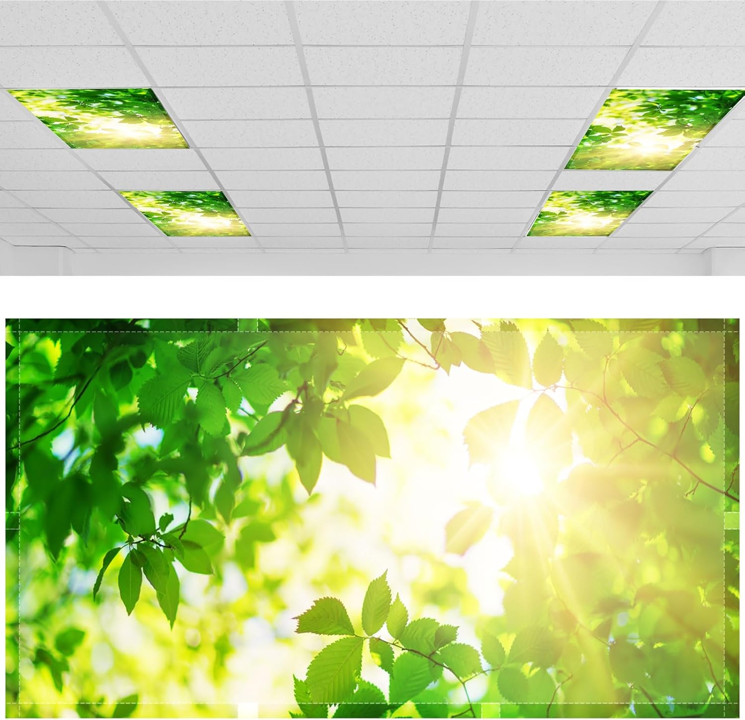 Amazon.com : Patelai 4 x 2 Feet Fluorescent Light Cover for Ceiling ...