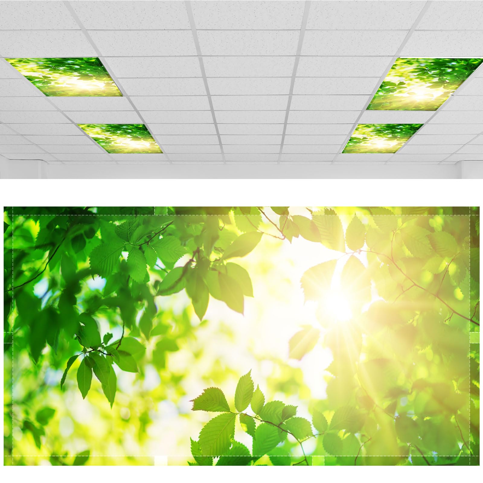 Amazon.com : Patelai 4 x 2 Feet Fluorescent Light Cover for Ceiling ...