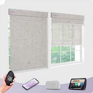 Amazon.com: Graywind Motorized Dual Shades for Windows Smart Double Blinds Blackout and Sheer ...