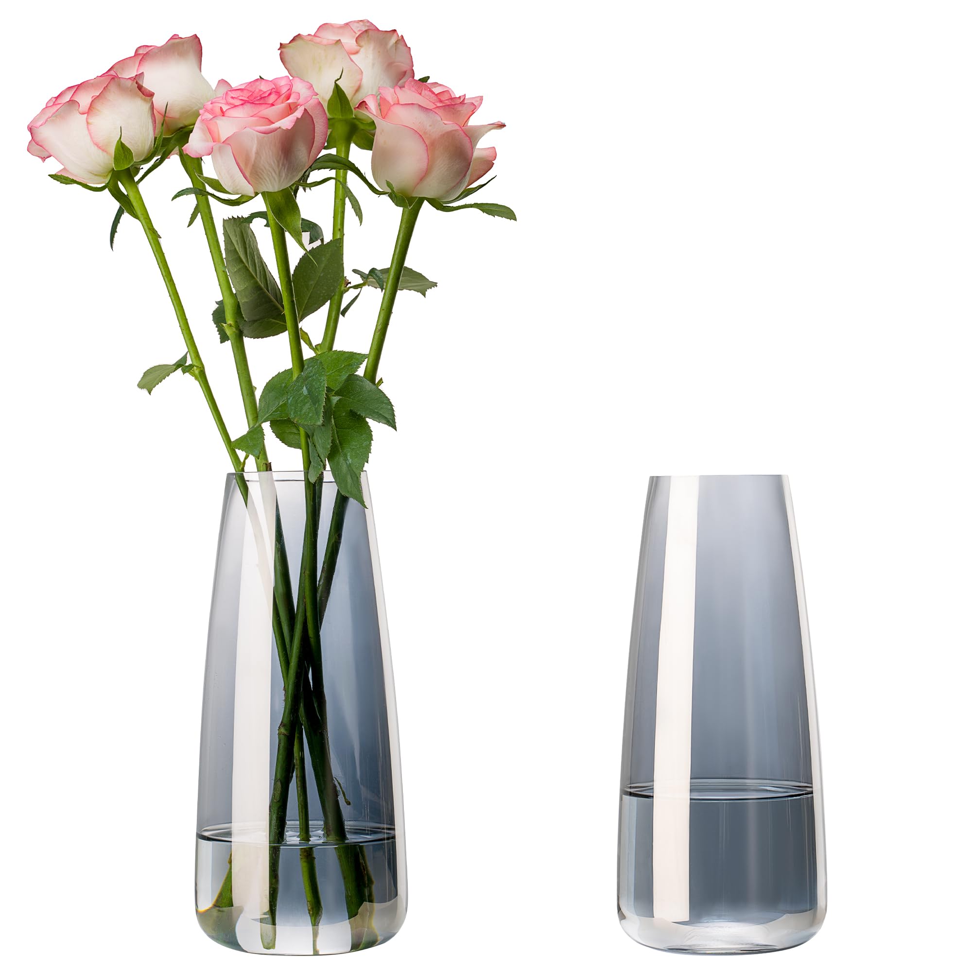 Snapklik.com : 2 Pack 8.7 Inch Glass Vase For Flowers, Roses, Lilies ...
