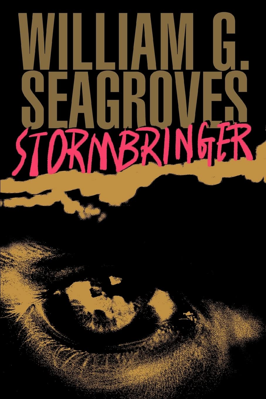 Amazon.com: STORMBRINGER: 9780595291052: Seagroves, William: Books