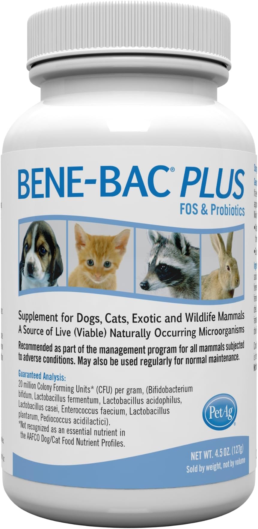 Amazon.com: 6 Pack Bene-Bac Plus Gel, 15g Syringe 6 -Pack