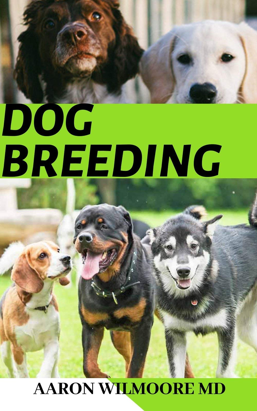 Dog Breeding All You Need To Know On Breeding Dogs | Desertcart Sri Lanka