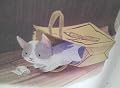 Paper Chase: a captivating story of friendship by Julia Donaldson ...