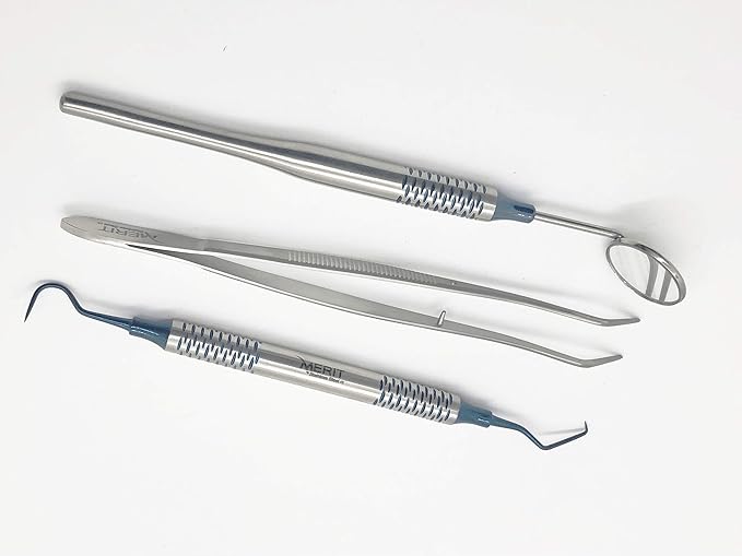 Amazon.com: Dental Examination Set Basic Diagnostic Kit Tool 3 pcs Blue ...