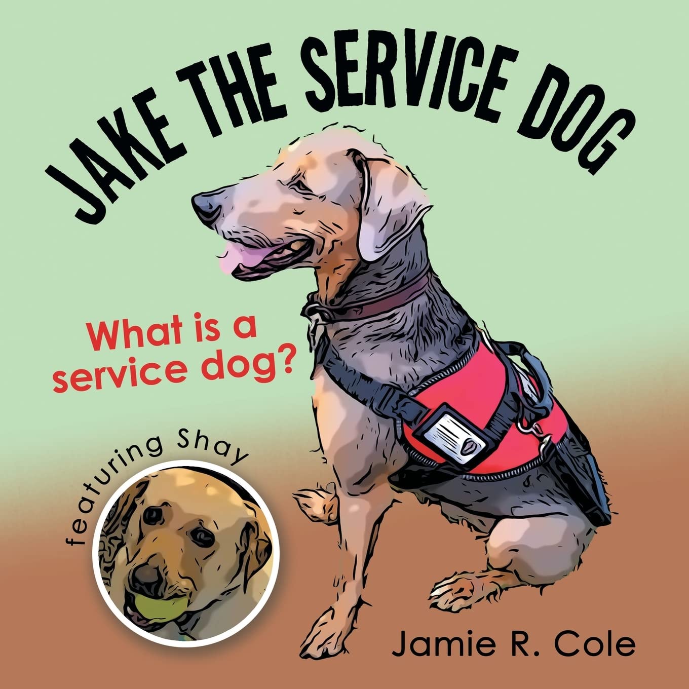 Jake the Service Dog: What Is a Service Dog?: Cole, Jamie R ...