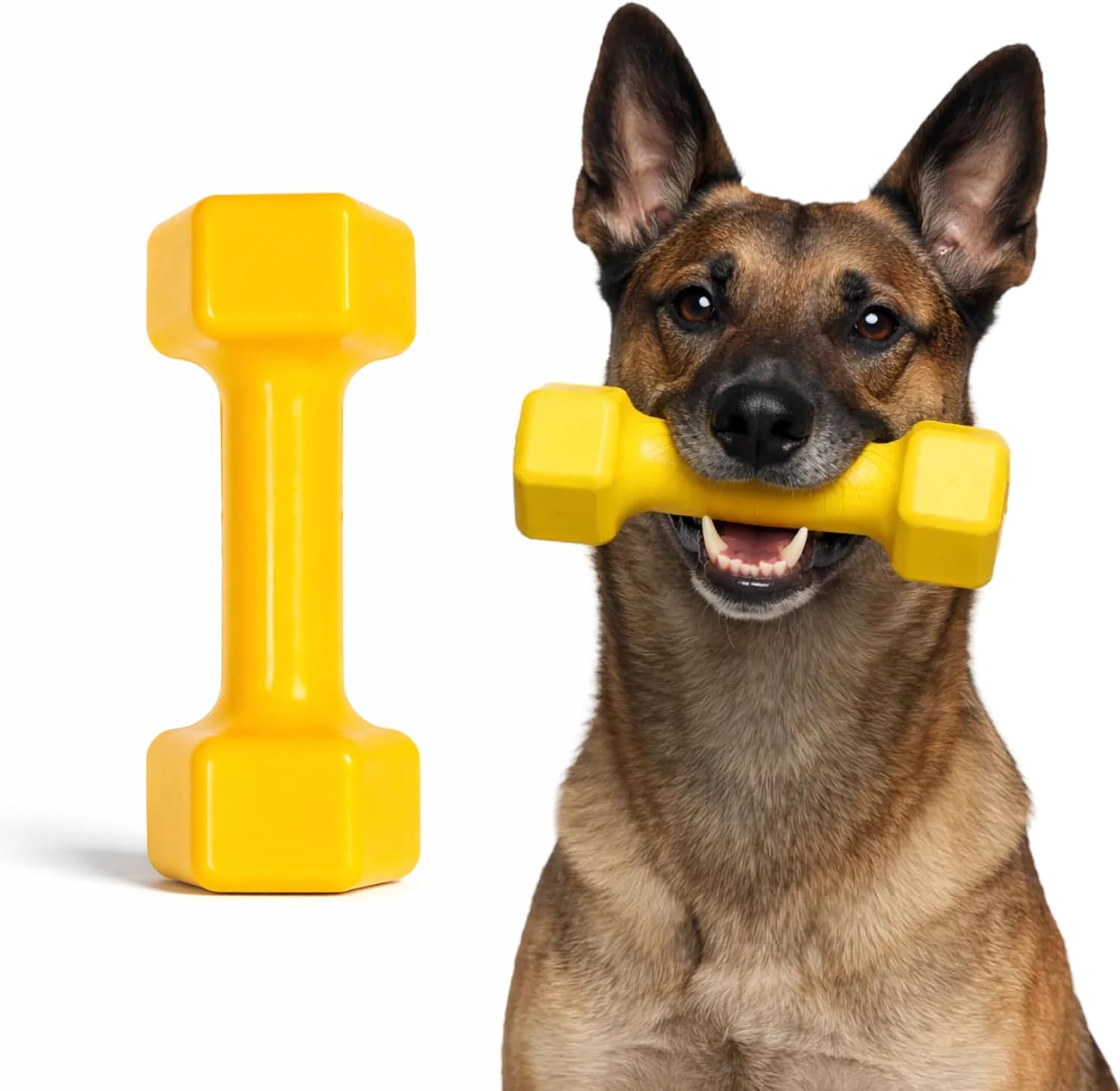 Amazon.com: WoofBite Virtually Indestructible Dog Dumbbell - Lifetime ...