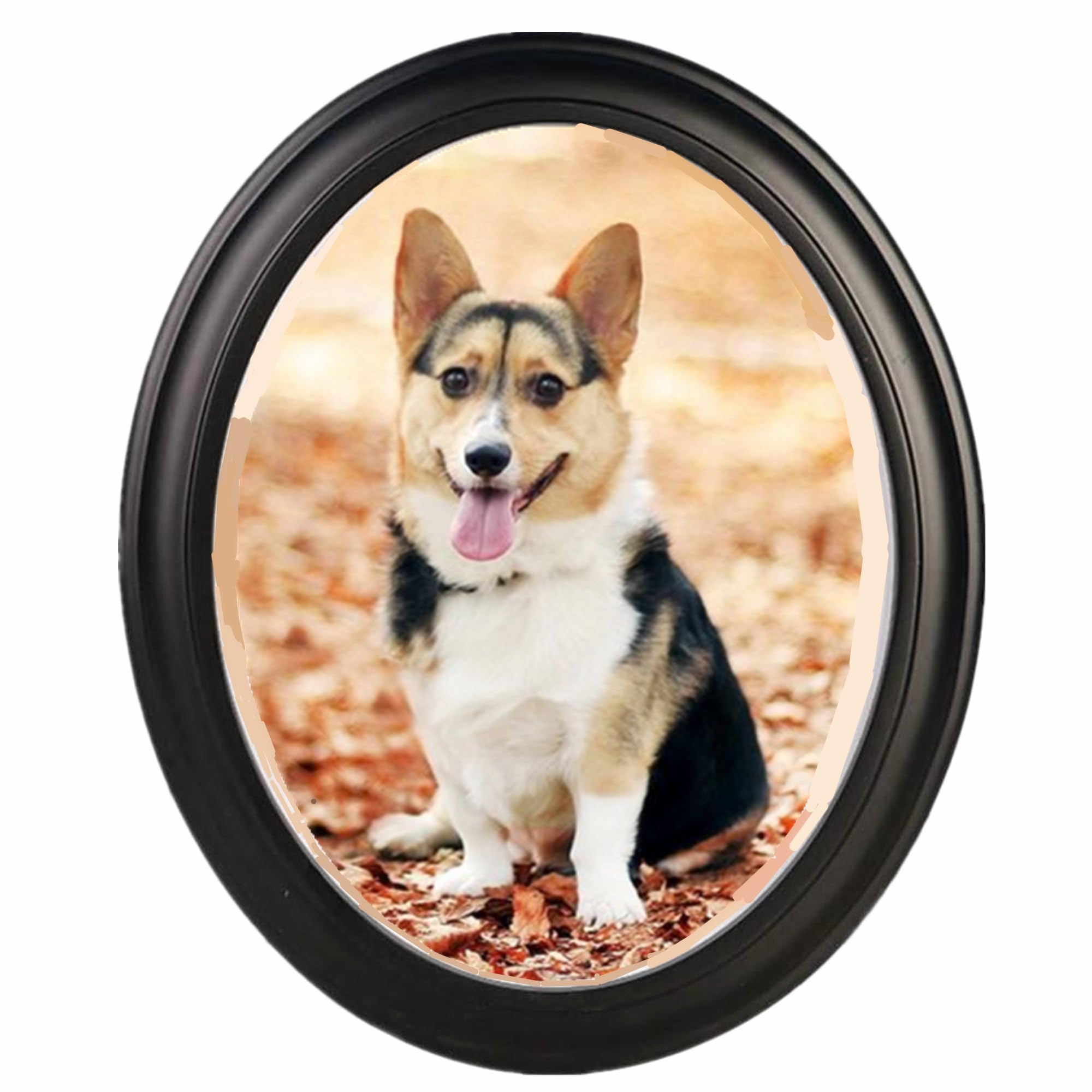 Amazon.com - alblinsy Oval Picture Frames,Oval Wood Picture Frame ...