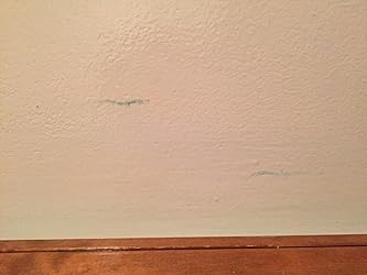 Amazon.com: Rust-Oleum 284637 Specialty Dry Erase Brush-On Paint Kit ...