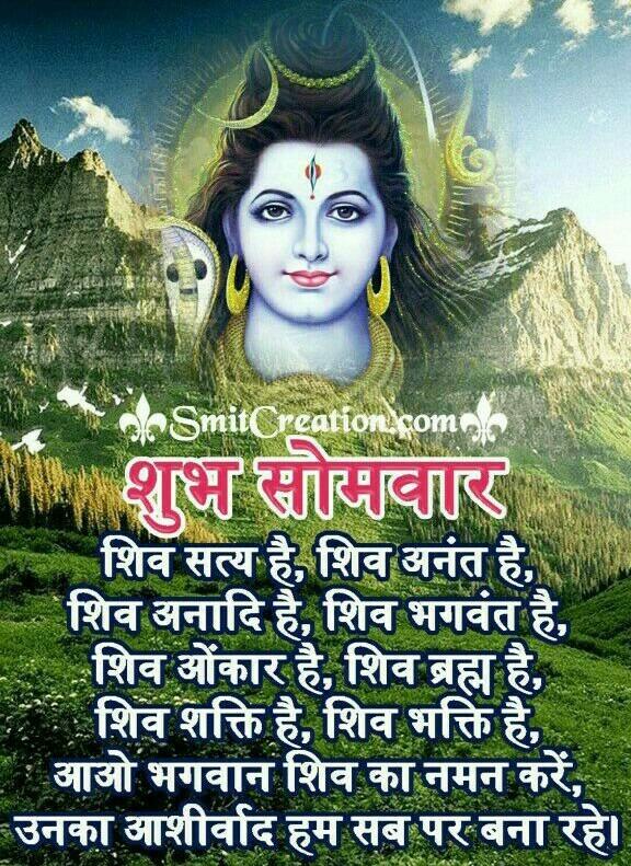 Taaza Leaf Cardamom Masala Chaska Tea Leaf, 250 Grams : Amazon.in ...