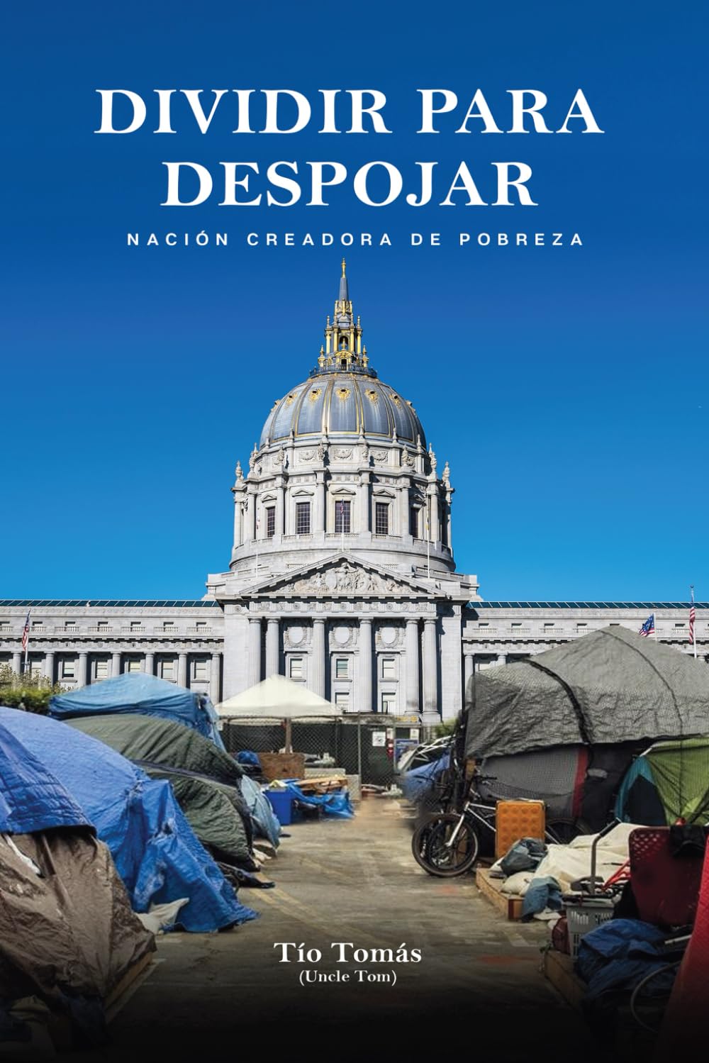 DIVIDIR PARA DESPOJAR: NACION CREADORA DE POBREZA (Spanish Edition ...