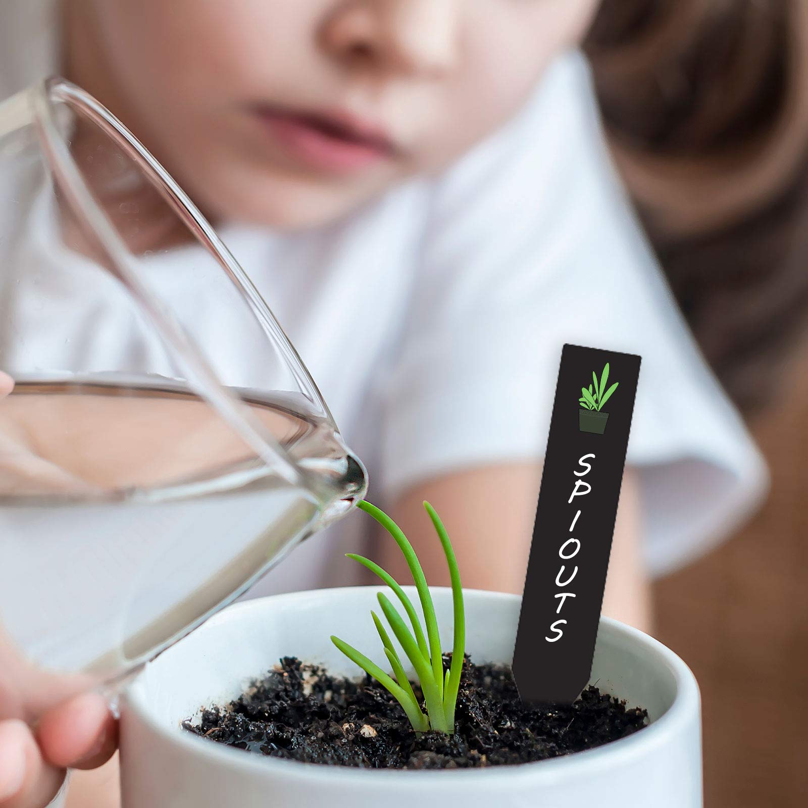 Plant Labels Black