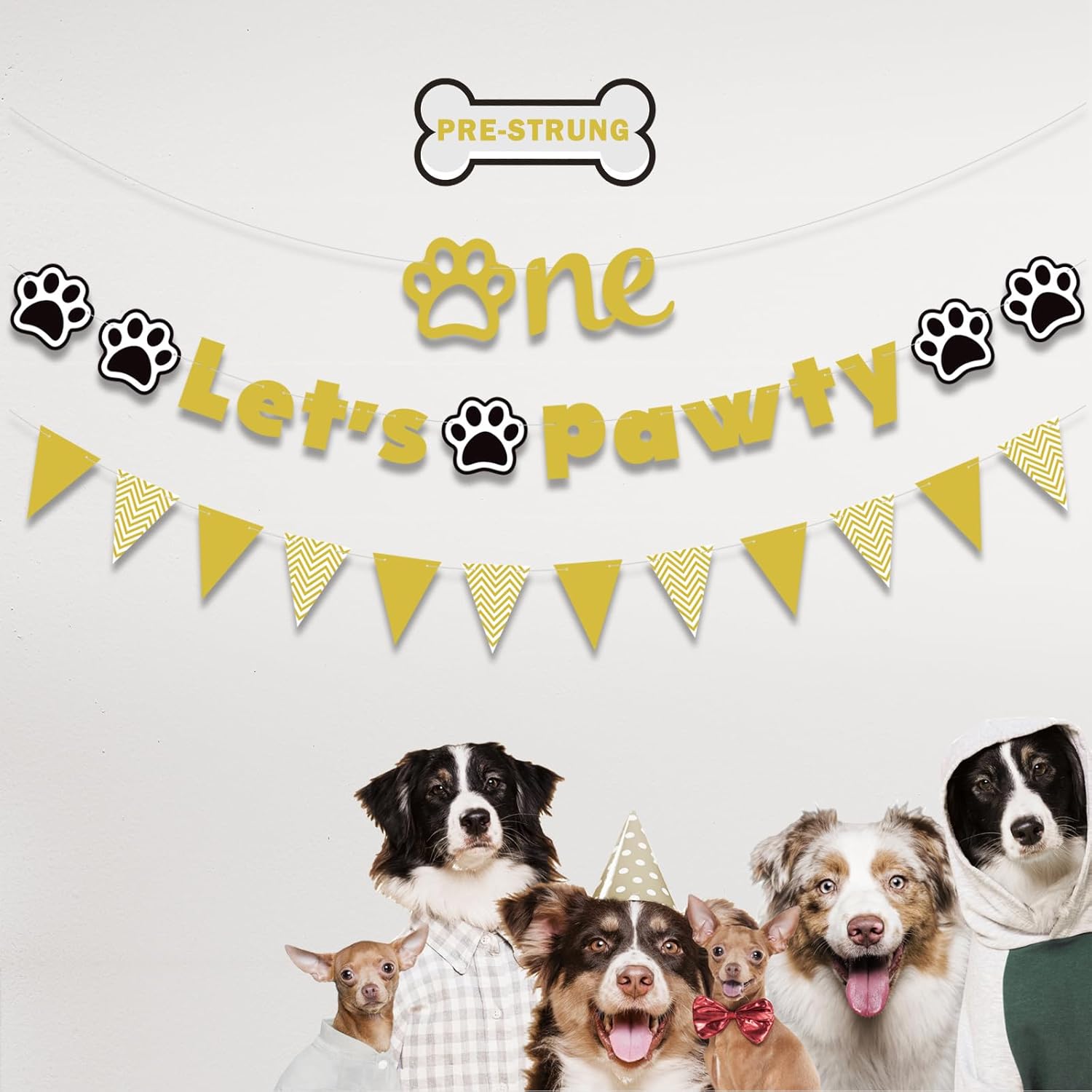 HTDZZI Pre-strung 1st Puppy Dog Birthday Party Supplies, One Birthday ...