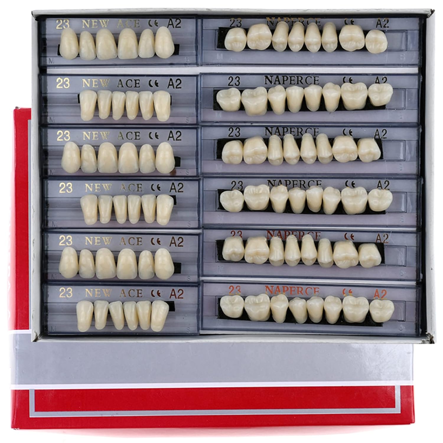 Amazon.com: 168 Pieces False Teeth Dental Complete Acrylic Resin ...