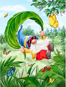 Amazon.com: MXJSUA Gnome Parachute Diamond Art Painting Kits for Adults ...