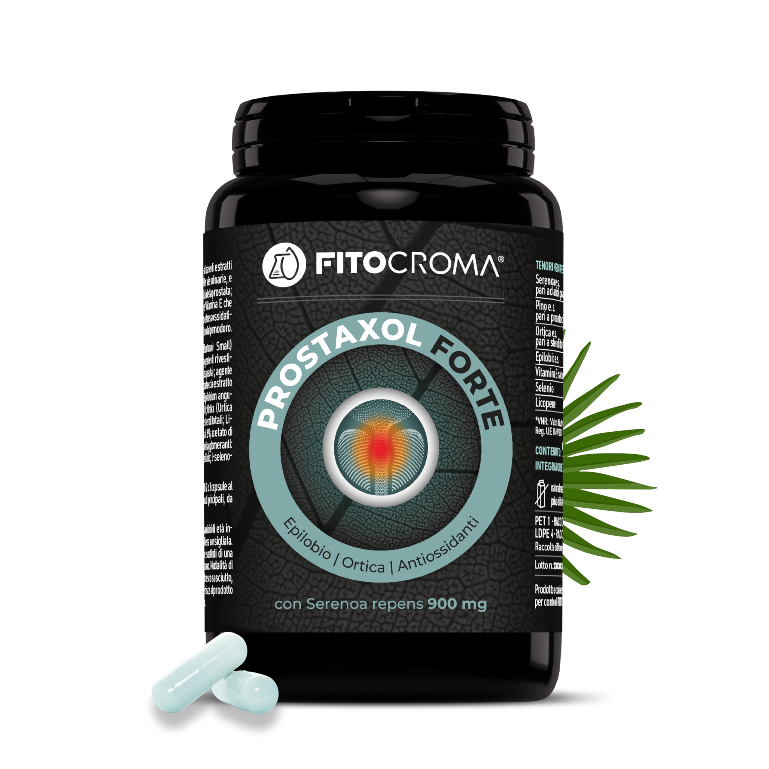 PROSTAXOL FORTE - SERENOA REPENS 900mg - 180 Capsule - Saw palmetto ...