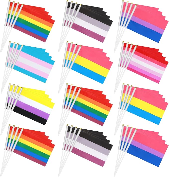 Amazon.com : Kinlop 200 Pcs Rainbow Pride Flag Set Small Mini Gay Hand ...